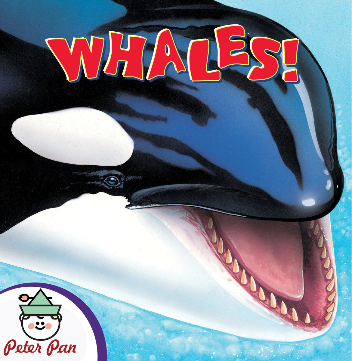 Know It All—Whales – Peter Pan Records